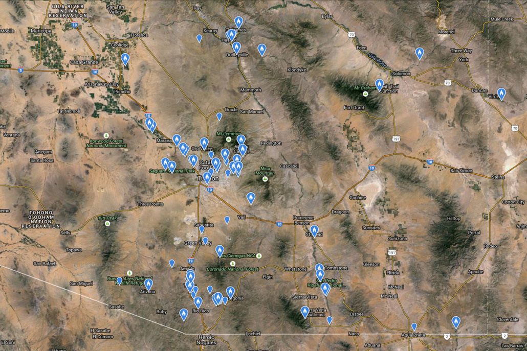 Common Black Hawk – Arizona Birding Tour Guide, Richard Fray