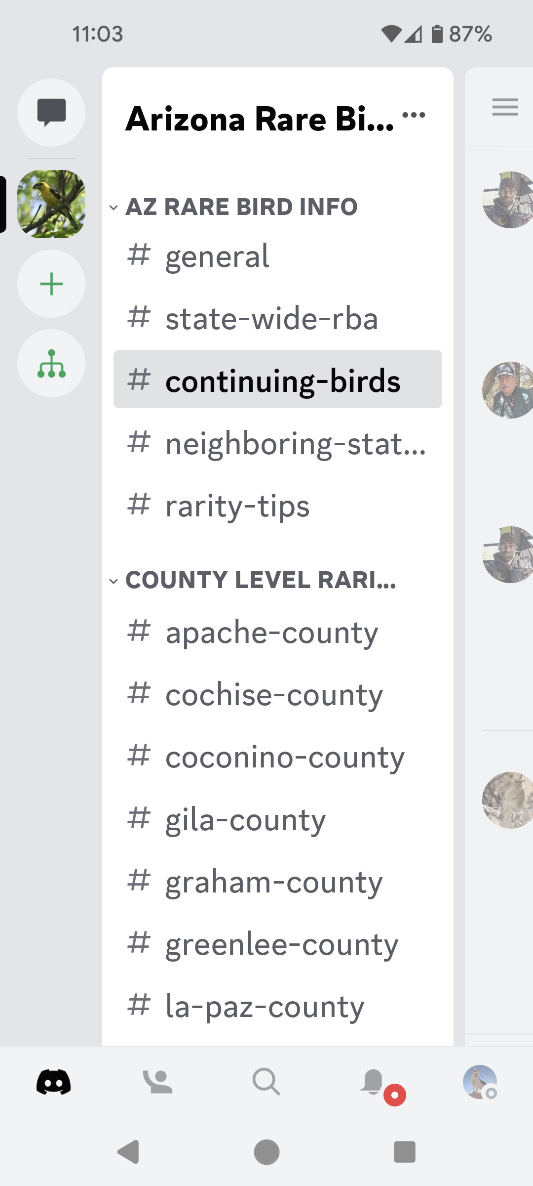 Latest SE AZ Bird News – Arizona Birding Tour Guide, Richard Fray