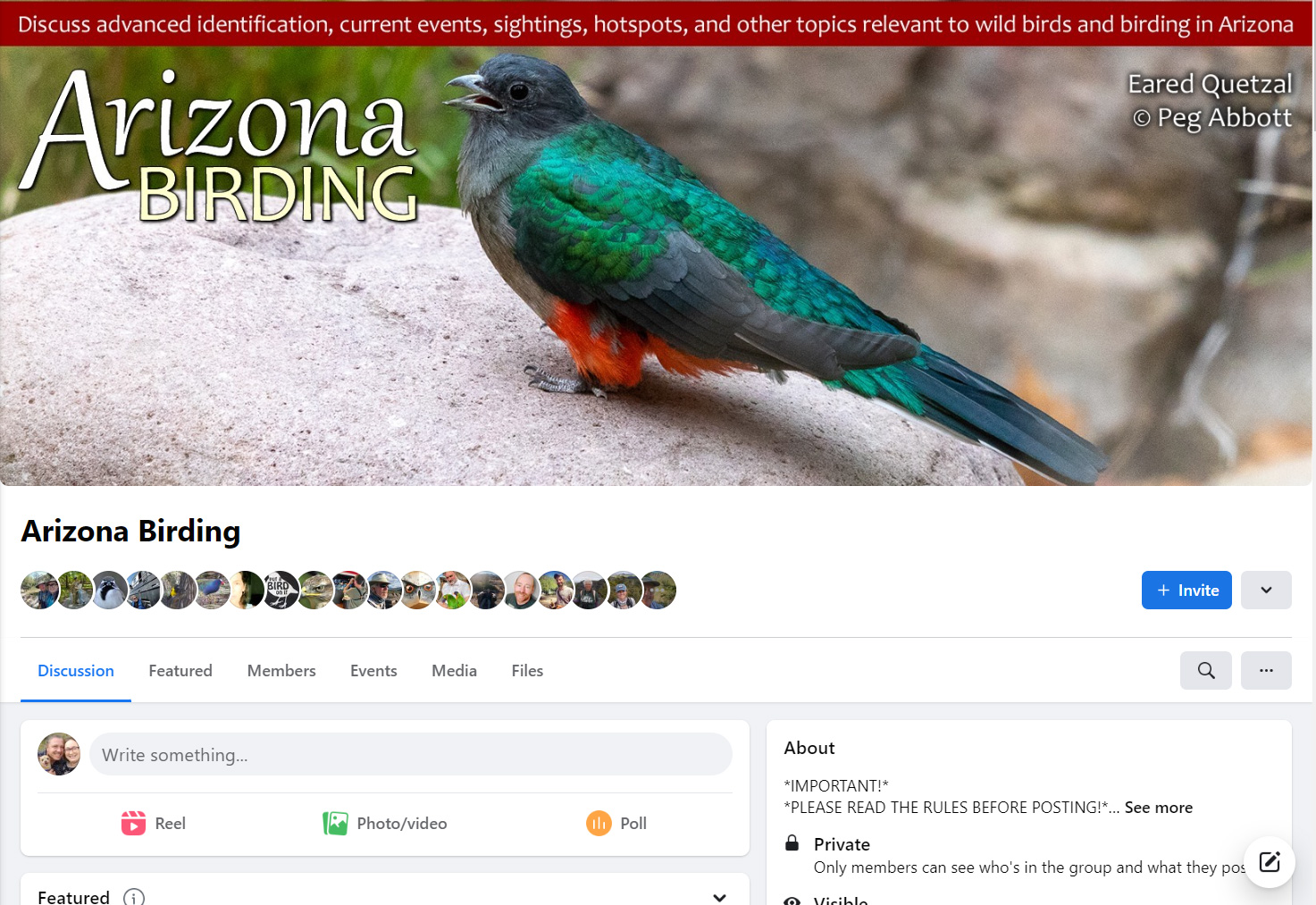 Latest SE AZ Bird News – Arizona Birding Tour Guide, Richard Fray
